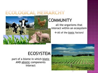 Chapter 2 Slides | PPTX