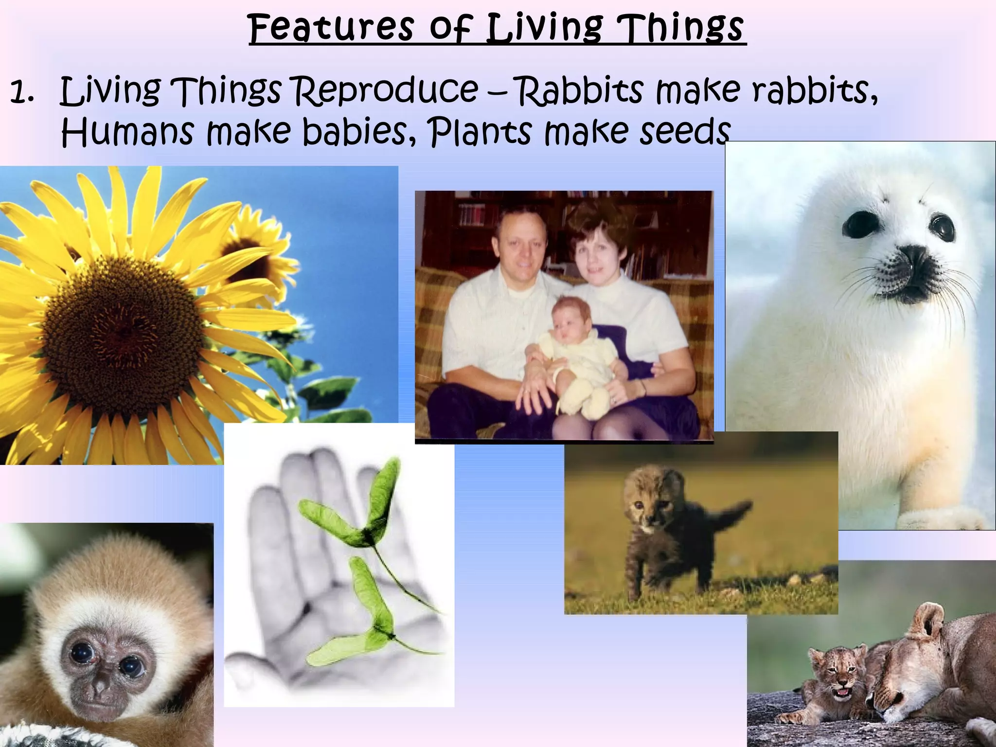 Intro to Biology Notes - Foundations | PPT
