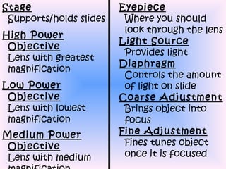 Intro to Biology Notes - Foundations | PPT