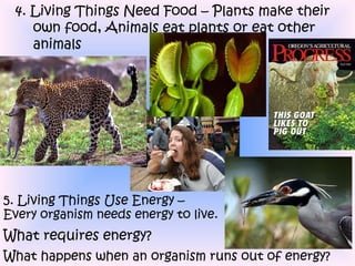 Intro to Biology Notes - Foundations | PPT