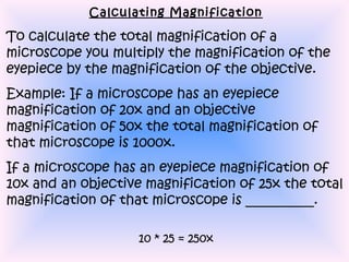 Intro to Biology Notes - Foundations | PPT