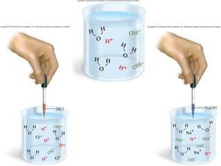 Bio 100 Chapter 2 | PPT