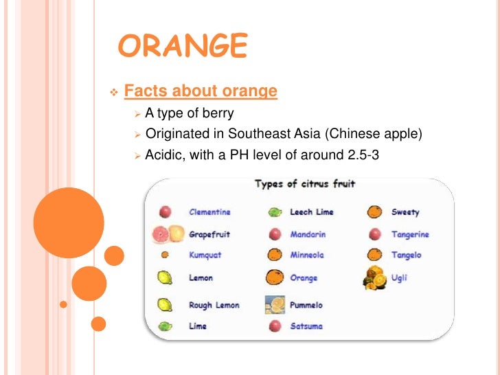 Chapter 2 observation orange