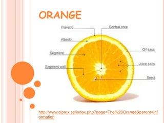 Chapter 2 observation orange | PPTX | Gardening | Home & Garden