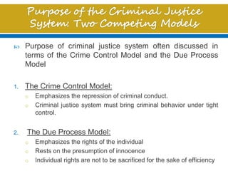 Constitutional Issues - Chapter 2 | PPT