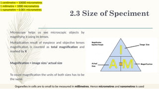 Chapter 2 Organisation of organisms.pptx