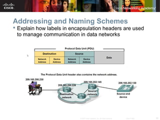 CCNA Exploration 1 - Chapter 2 | PPT