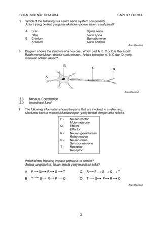 Nerve Akson Diagram