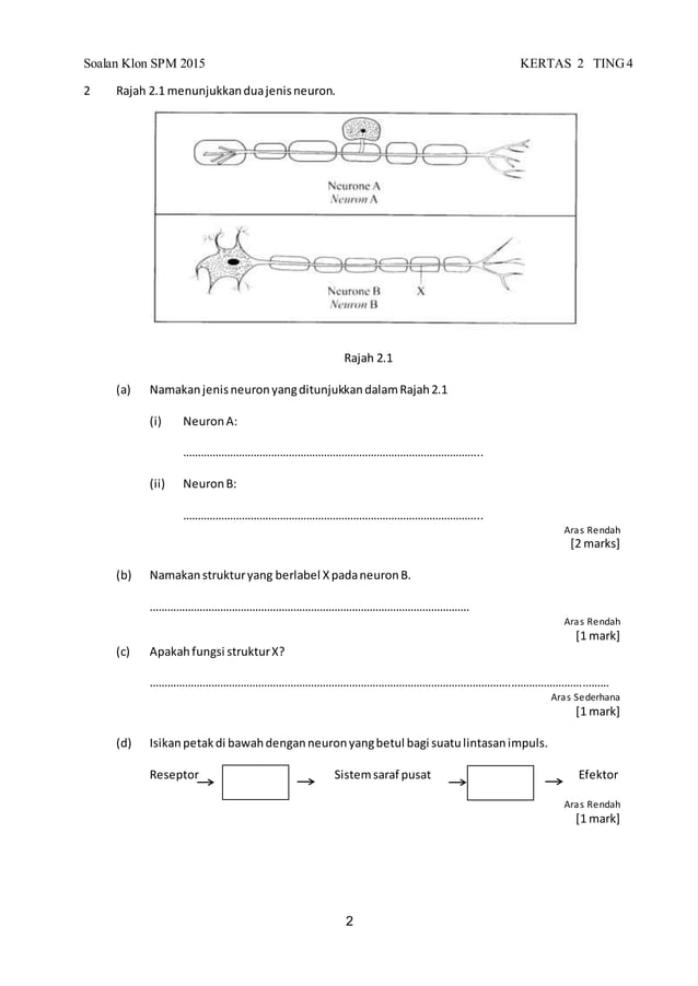 Chapter 2 paper 2.editdocx | PDF