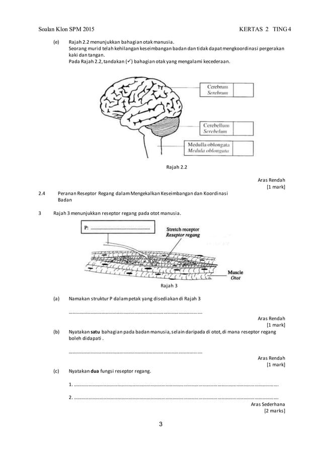 Chapter 2 paper 2.editdocx | PDF
