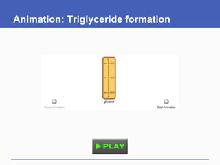 Triglyceride Formation Animation