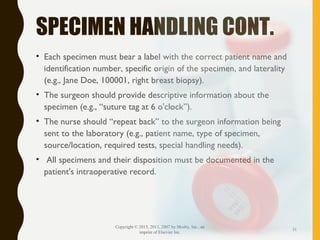 Chapter 2 Patient Safety and Risk Management | PPT
