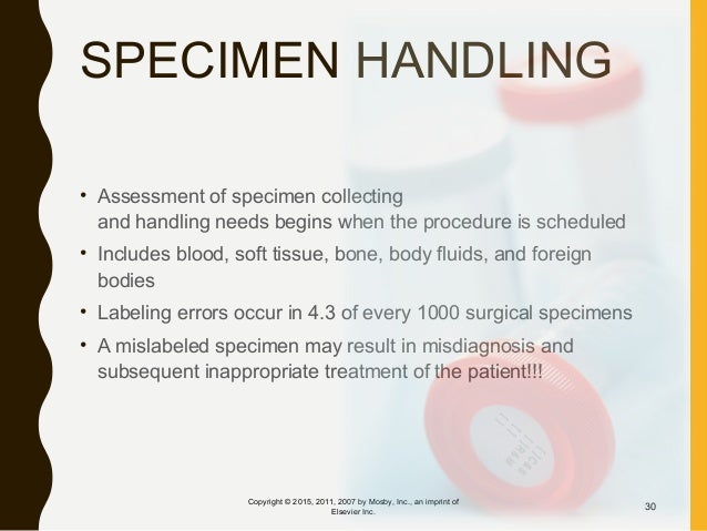 Chapter 2 Patient Safety and Risk Management