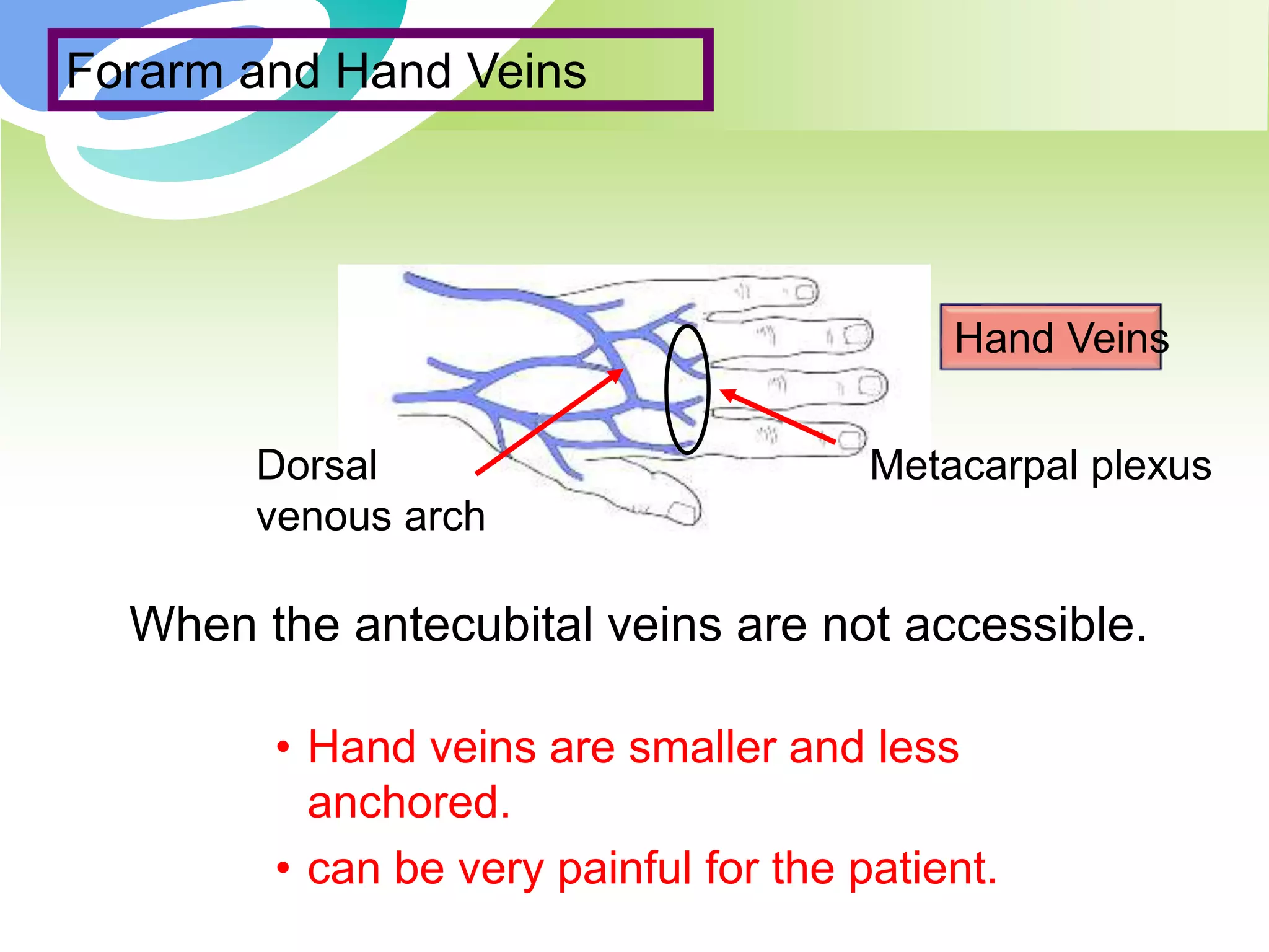 phlebotomy related vascular anatomy | PPTX