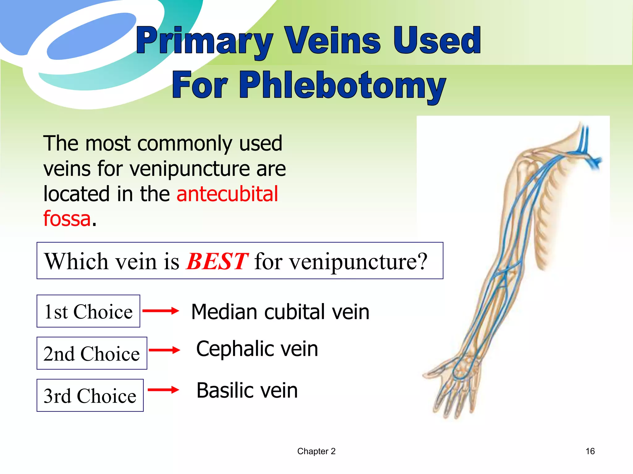 phlebotomy related vascular anatomy | PPTX