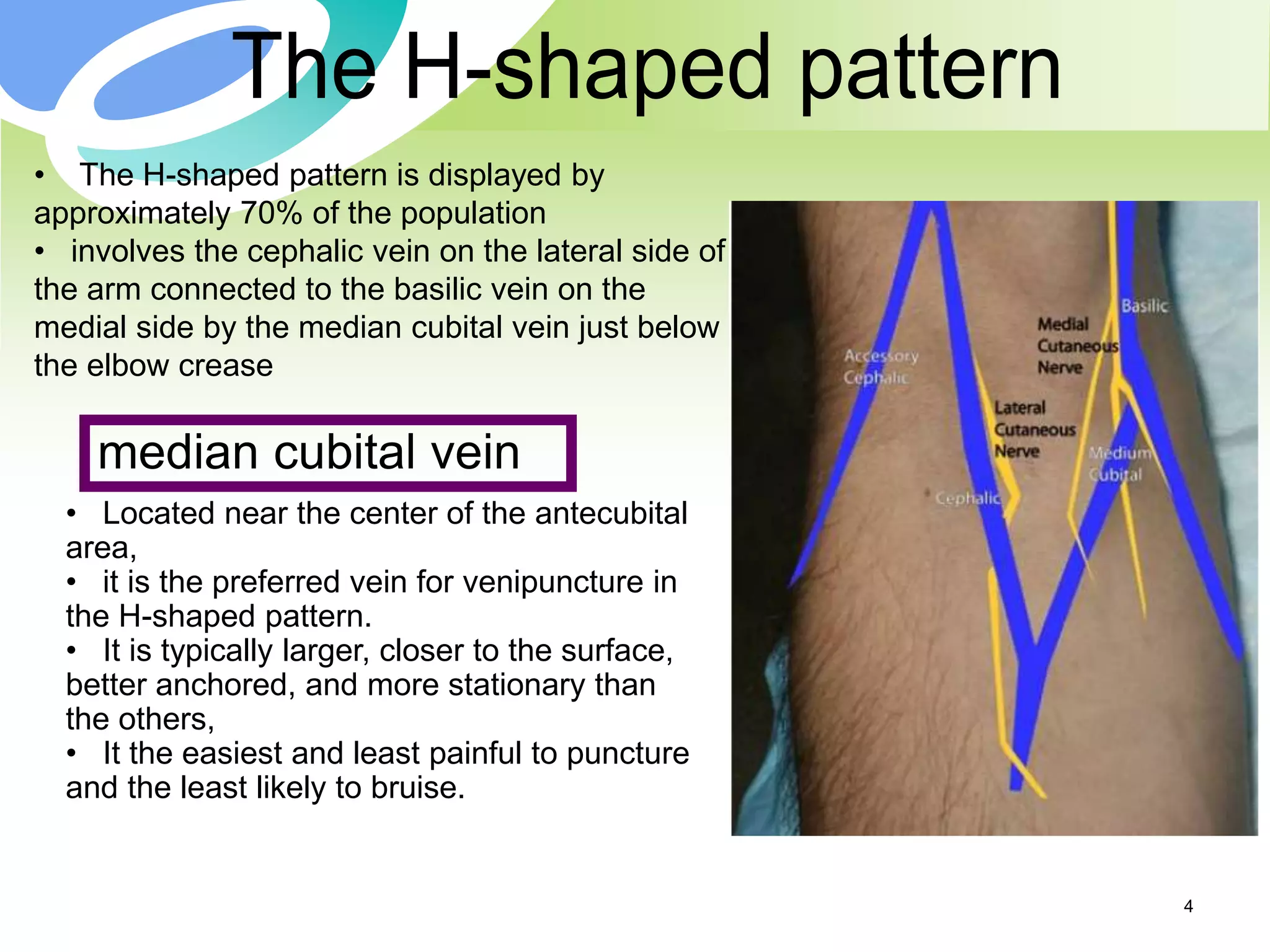 phlebotomy related vascular anatomy | PPTX