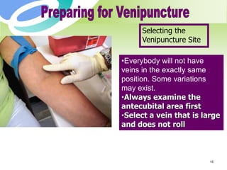 phlebotomy related vascular anatomy | PPTX | Death, Injury, or Military ...