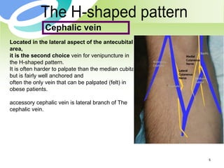 phlebotomy related vascular anatomy | PPTX | Death, Injury, or Military ...