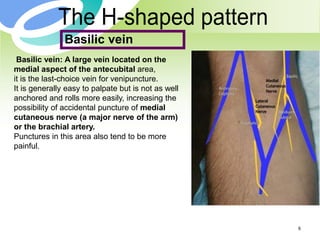 phlebotomy related vascular anatomy | PPTX | Death, Injury, or Military ...
