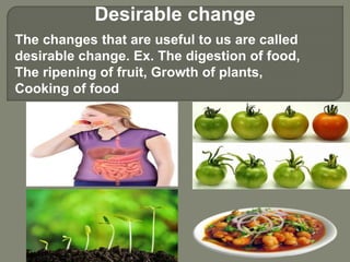 Chapter 2 physical and chemical change | PPT