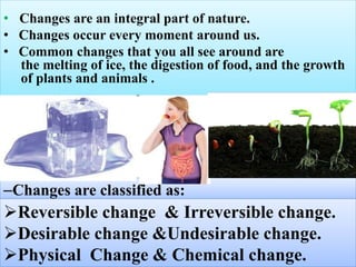 Digesting Food Chemical Change