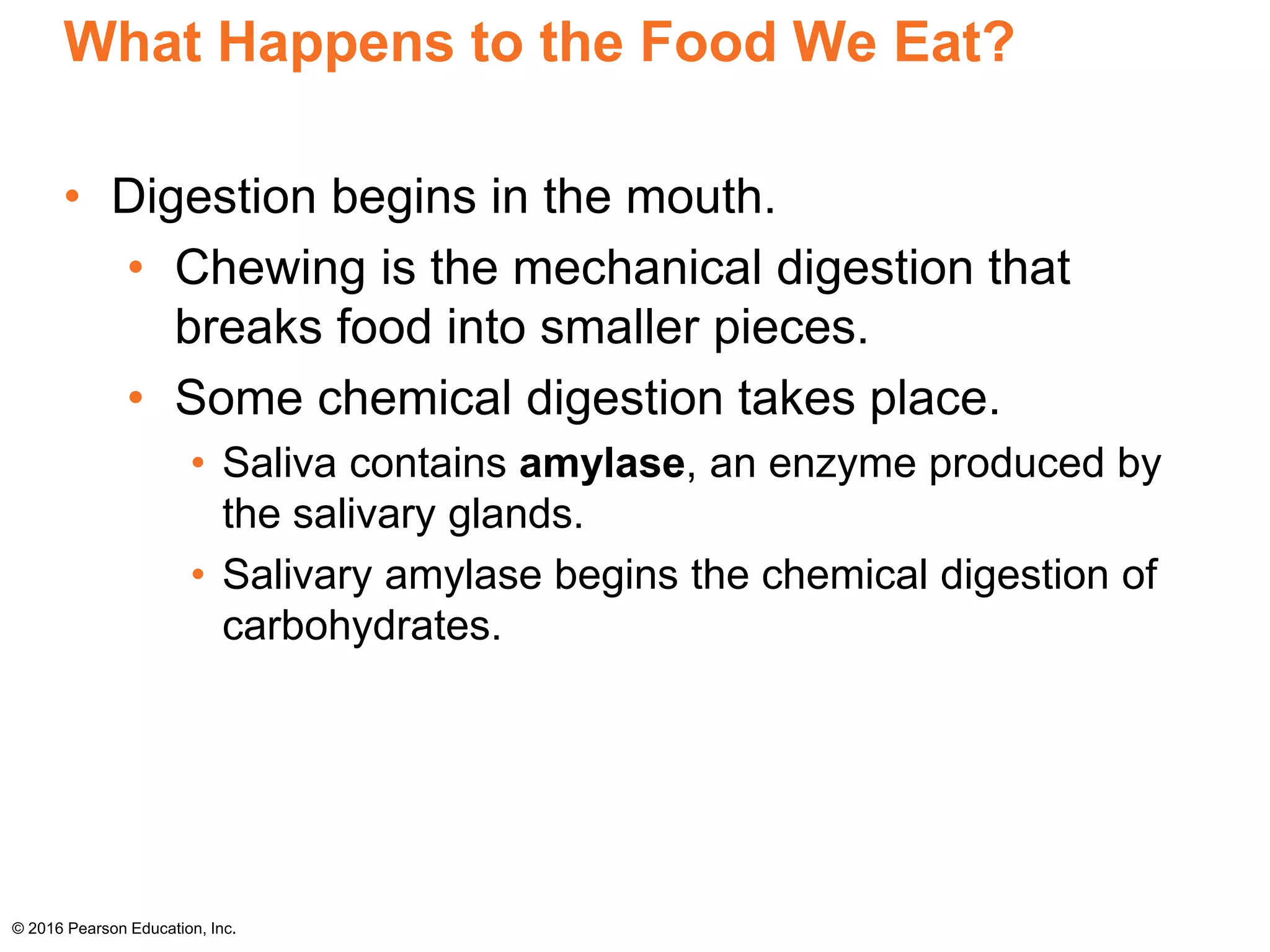 Chapter 2 Power Point | PPTX | Digestive Disorders | Diseases and ...