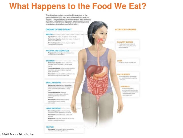 Chapter 2 Power Point
