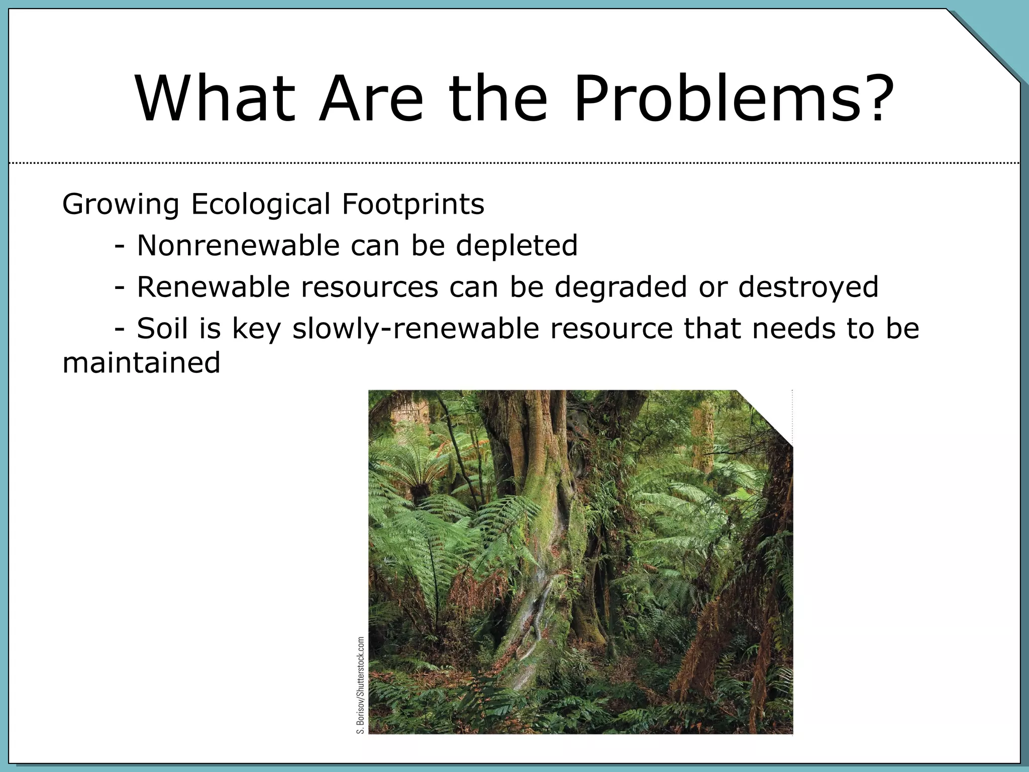 Chapter 2 powerpoint | PPT