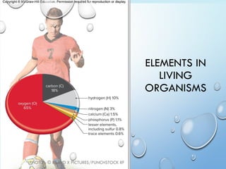 Chapter 2 power point | PPT