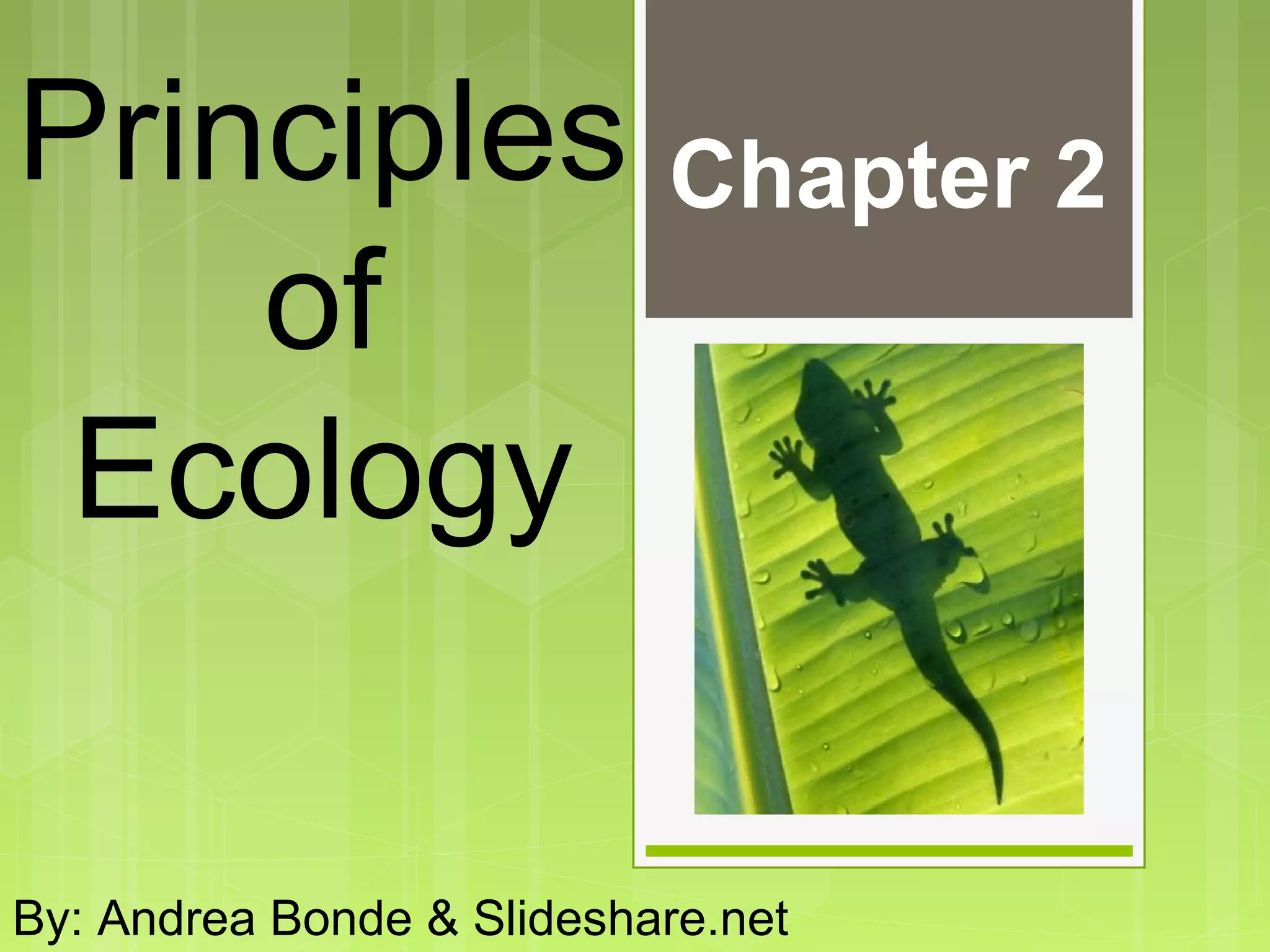 Glencoe Biology Chapter 2 Principles of Ecology | PPT