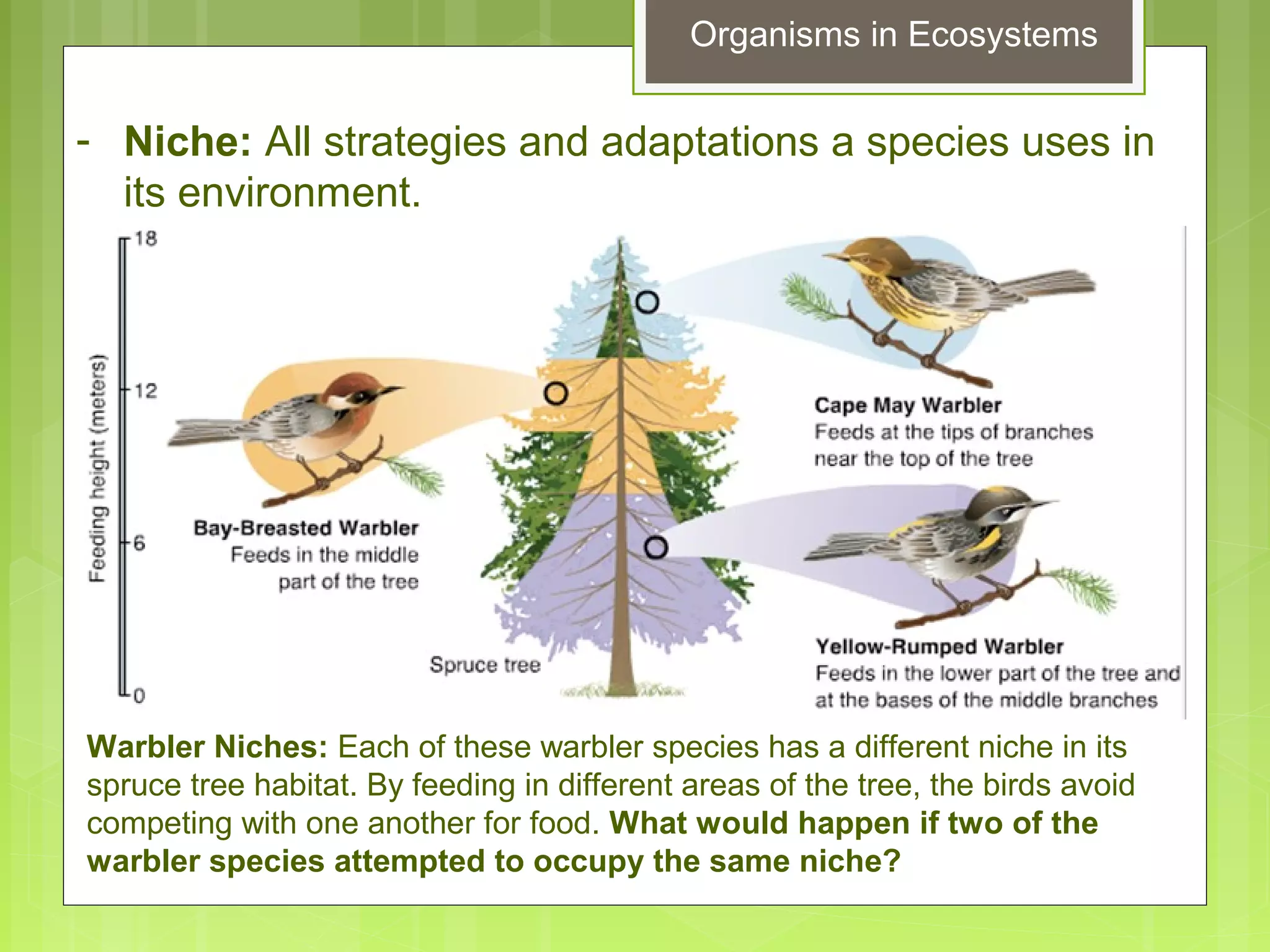 Glencoe Biology Chapter 2 Principles of Ecology | PPT