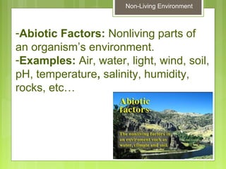 Glencoe Biology Chapter 2 Principles of Ecology | PPT