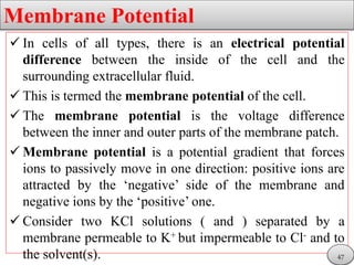 Electrochemical cells | PPTX