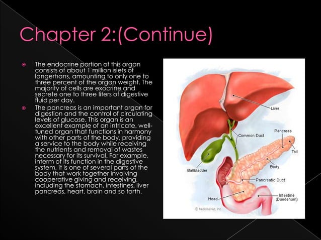 Chapter2 presentation | PPTX