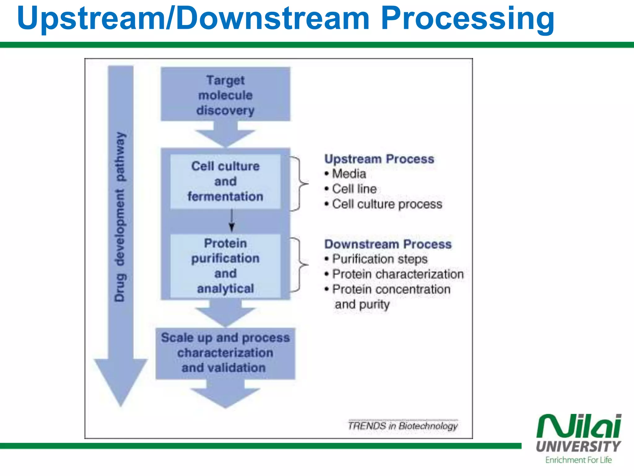 Chapter 2 Production of Biopharmaceuticals.pptx