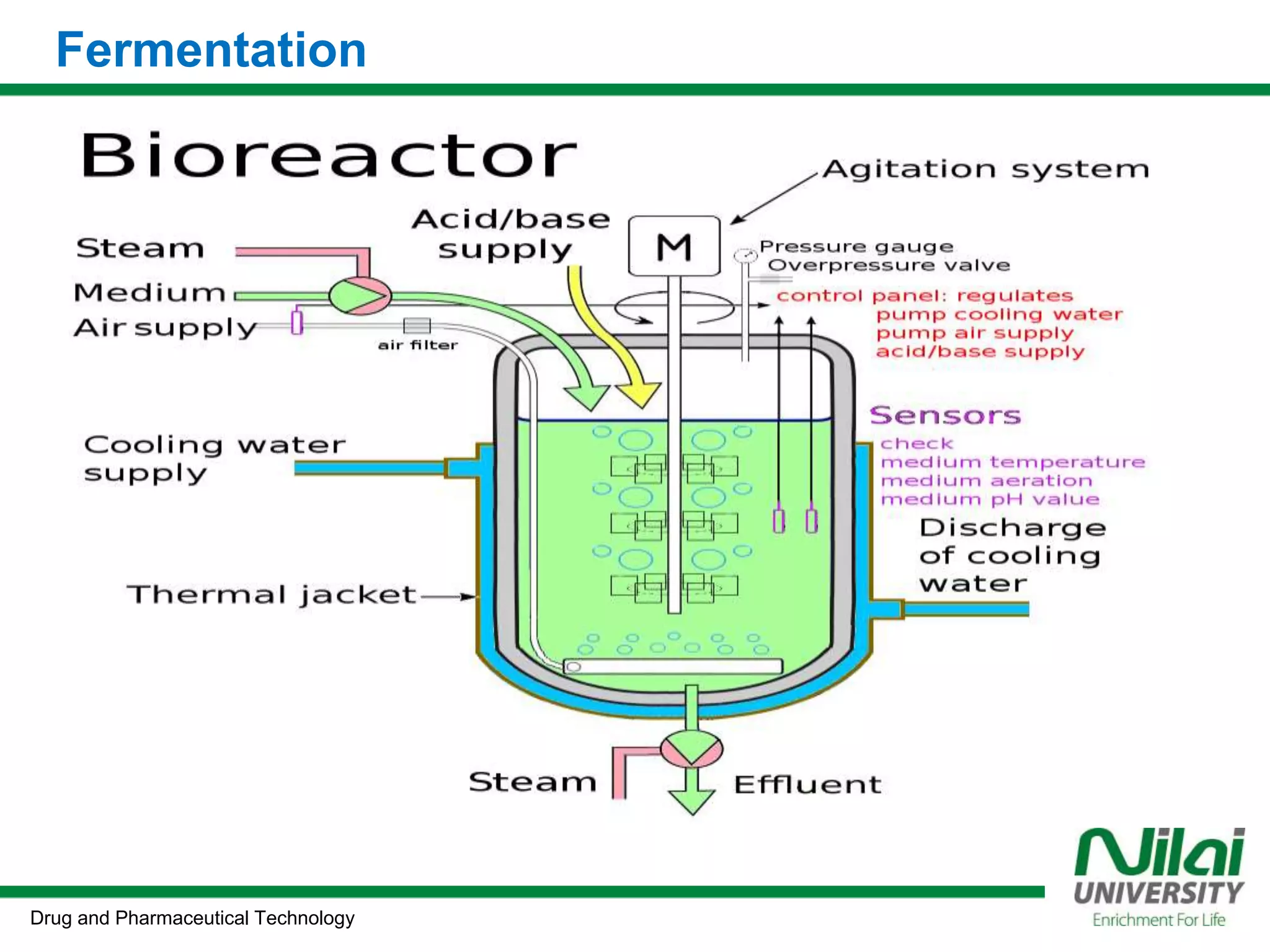 Chapter 2 Production of Biopharmaceuticals.pptx