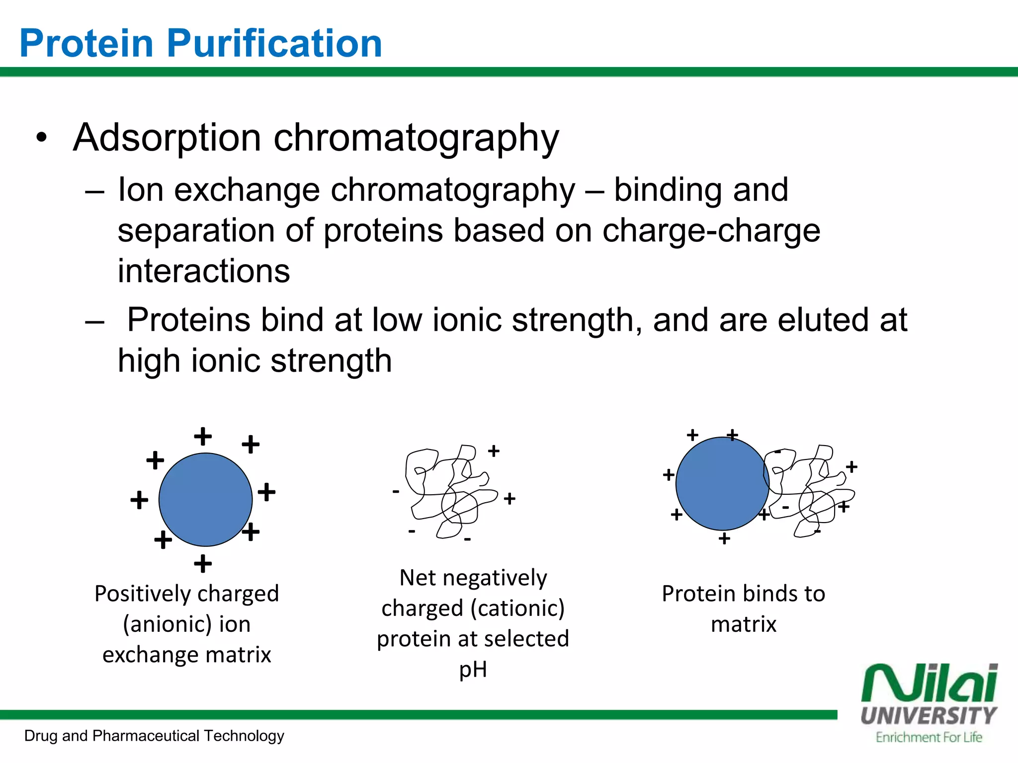 Chapter 2 Production of Biopharmaceuticals.pptx