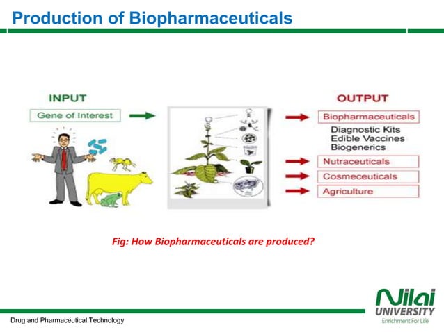 Chapter 2 Production of Biopharmaceuticals.pptx