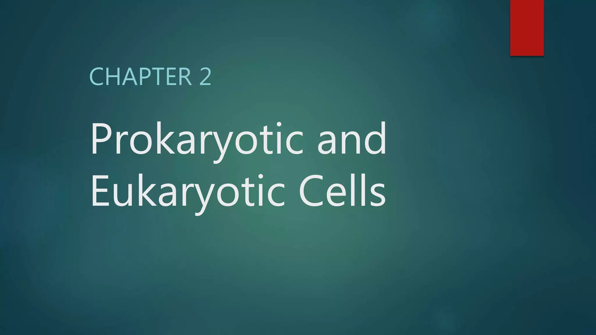 Chapter 2 Prokaryotic and Eukaryotic Cells | PPTX
