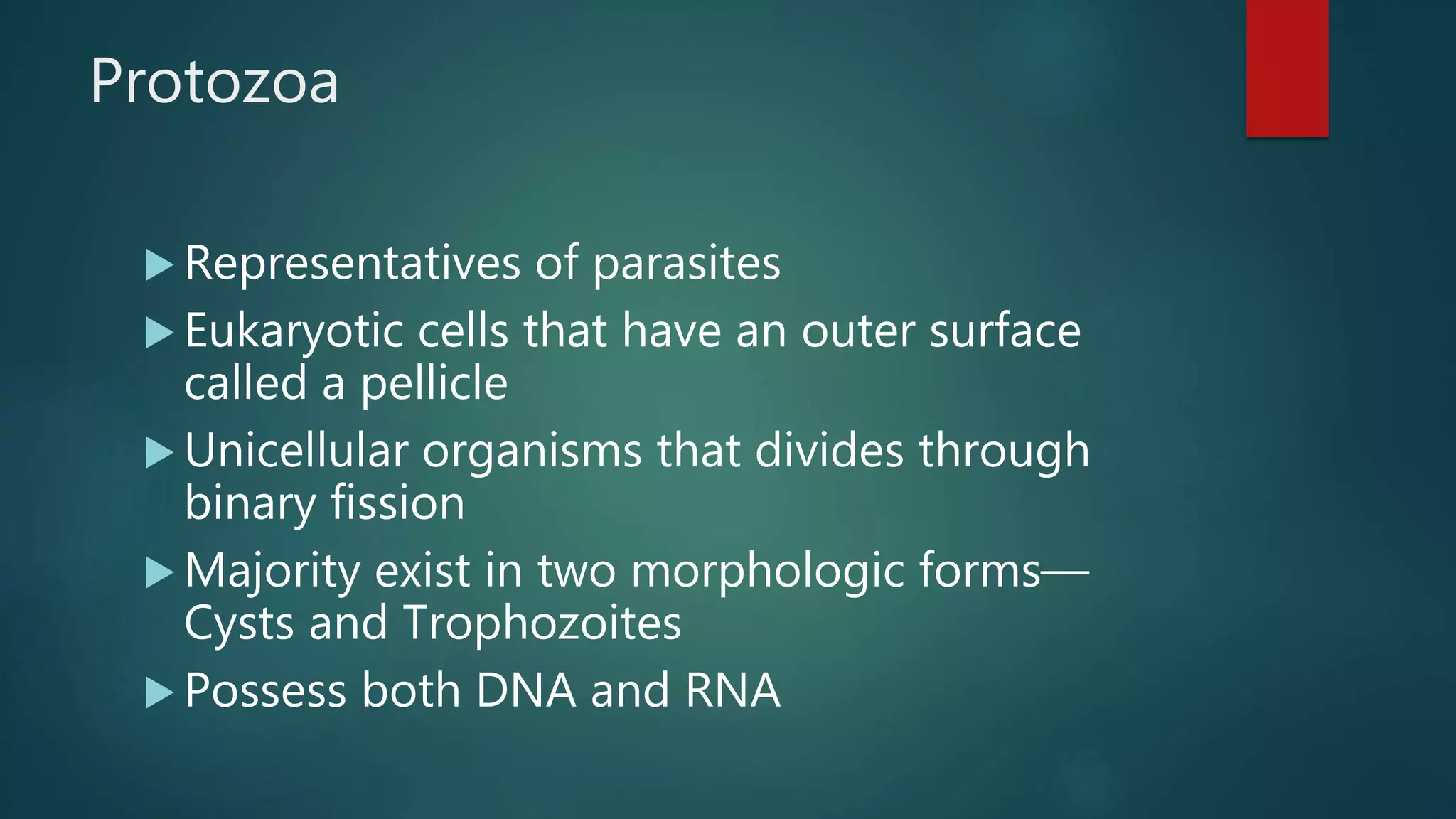 Chapter 2 Prokaryotic and Eukaryotic Cells | PPTX
