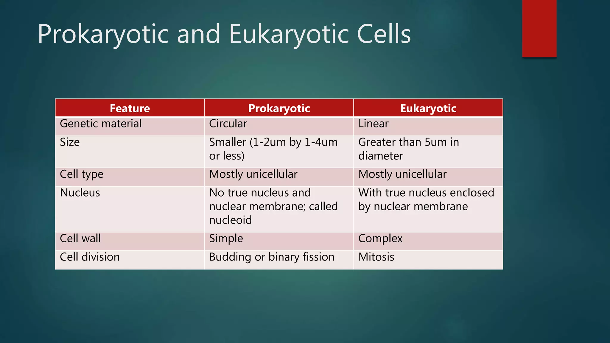 Chapter 2 Prokaryotic and Eukaryotic Cells | PPTX