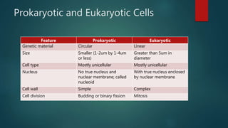 Chapter 2 Prokaryotic and Eukaryotic Cells | PPTX