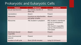 Chapter 2 Prokaryotic and Eukaryotic Cells | PPTX