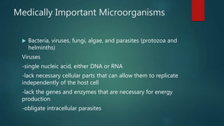 Chapter 2 Prokaryotic and Eukaryotic Cells | PPTX
