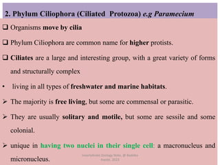 Chapter 2 protozoa and their phylum to get | PPT