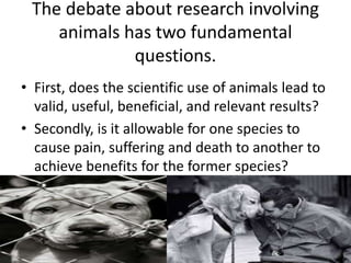 Chapter 2: Ethical Principles of Research | PPTX