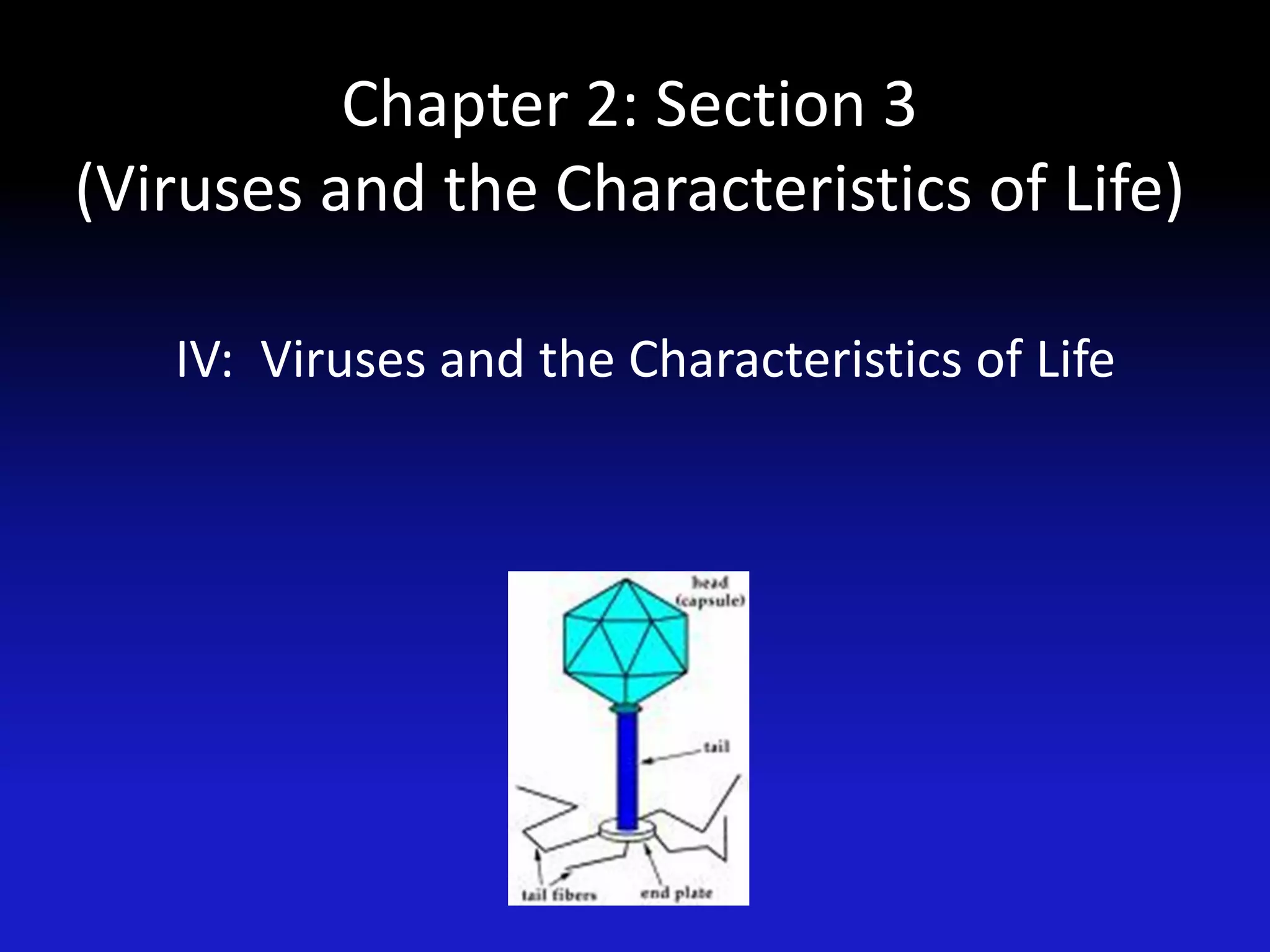 Chapter 2 section 3 (viruses) 2011 | PDF