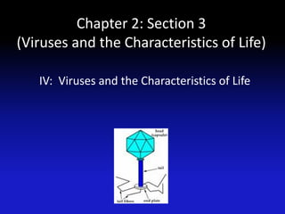 Chapter 2 section 3 (viruses) 2011 | PDF