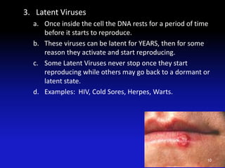 Chapter 2 section 3 (viruses) 2011 | PPT