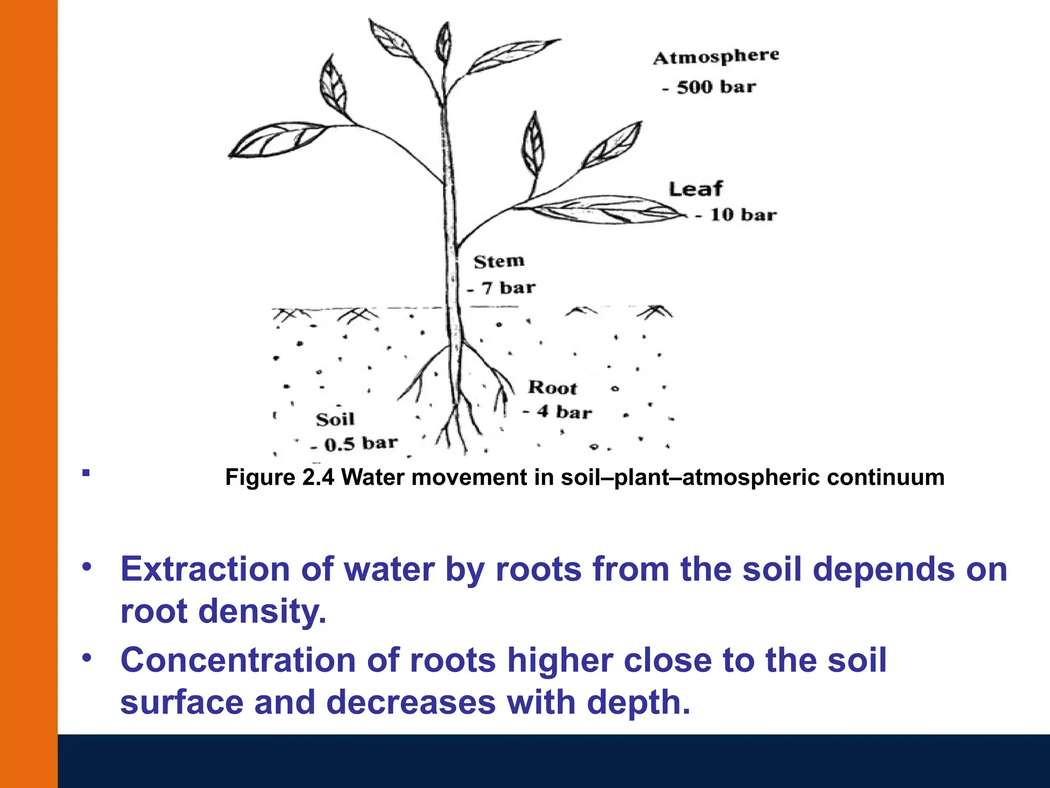 Chapter 2 Soil-water-plant relationships.pptx